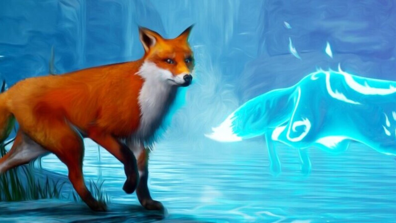 Spirit of the North: Enhanced Edition (2021) | Xbox Series X|S Game ...
