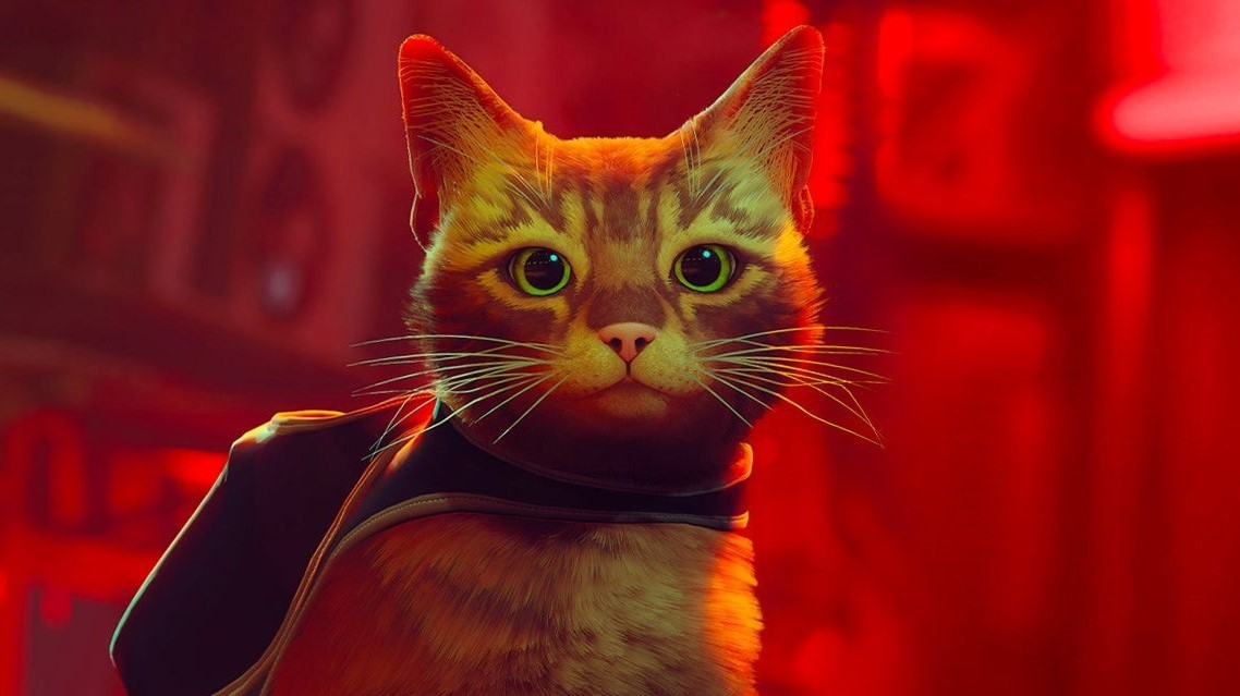 It's Official! Stray Launches On Xbox Consoles This August | Pure Xbox