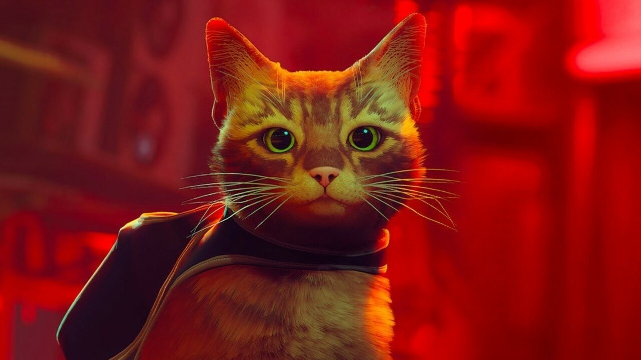 Stray Is Getting A Physical Version For Xbox, Along With A Permanent ...