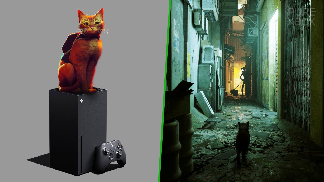 Less Than 24 Hours Since Launch, Stray Is Already Dominating The Xbox ...